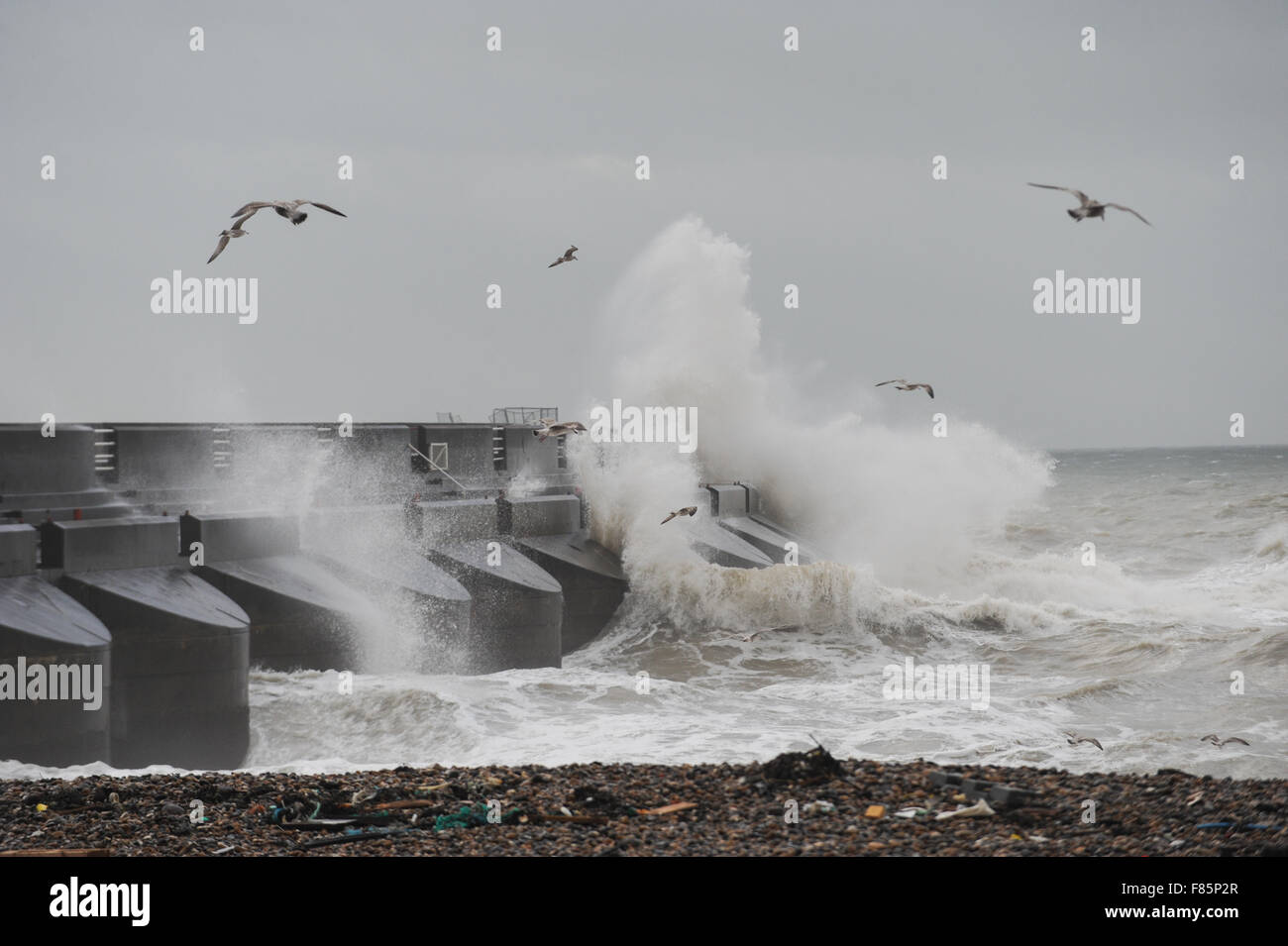 During Storm Desmond, seagulls battle against the high winds as large ...