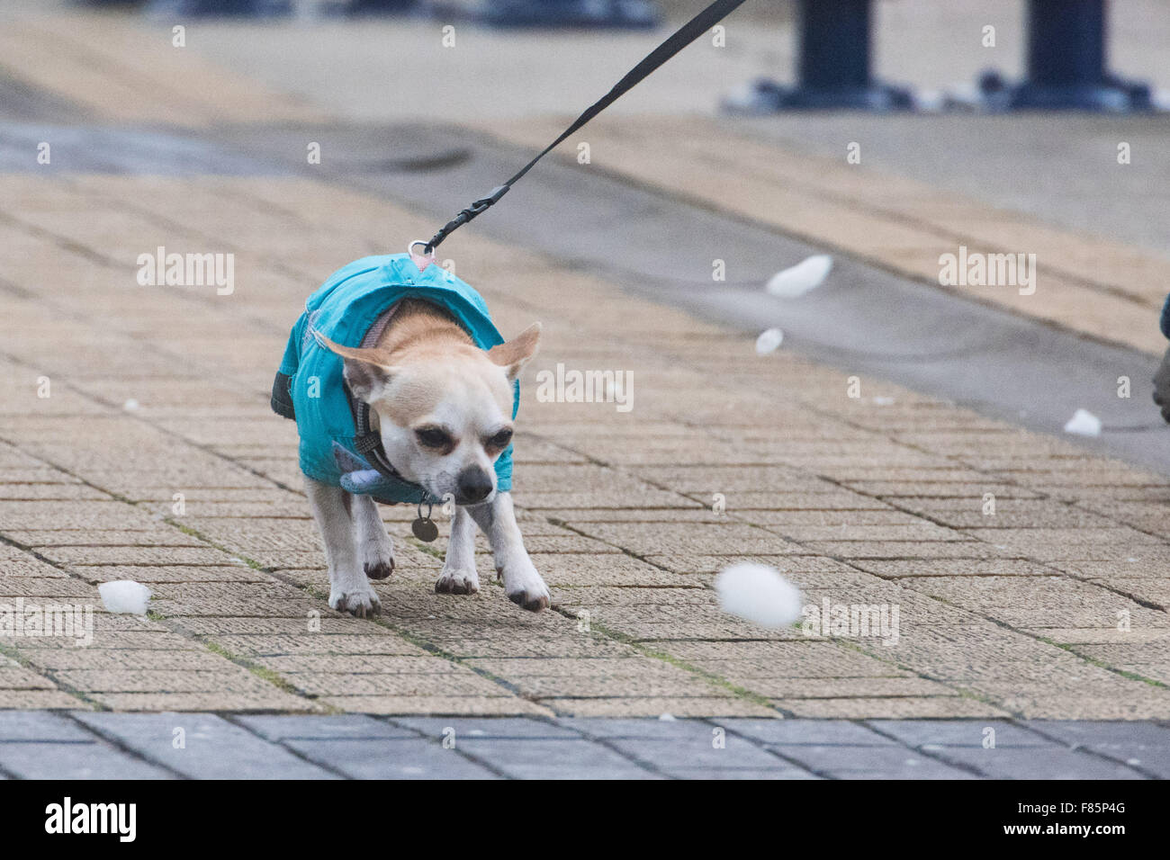 Struggles to walk hi-res stock photography and images - Alamy