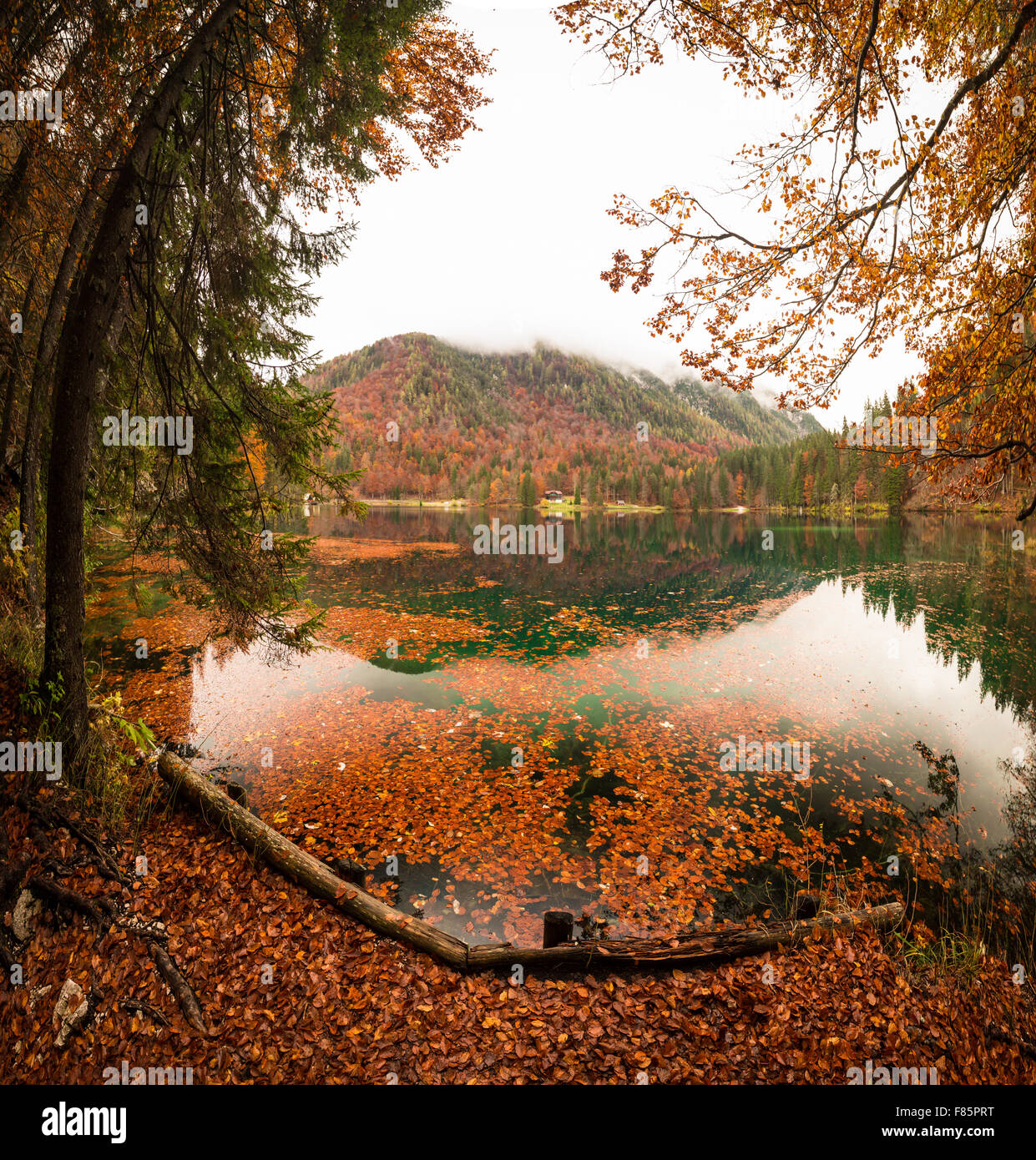 Fall in the italian alps in a misty day Stock Photo - Alamy