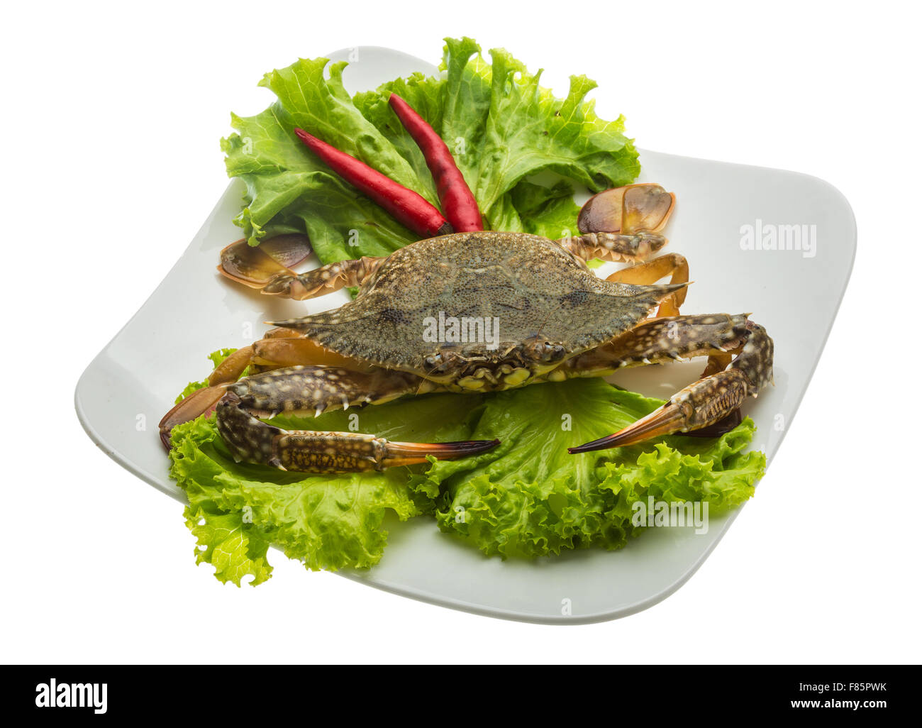 Raw crab ready for cooking Stock Photo - Alamy