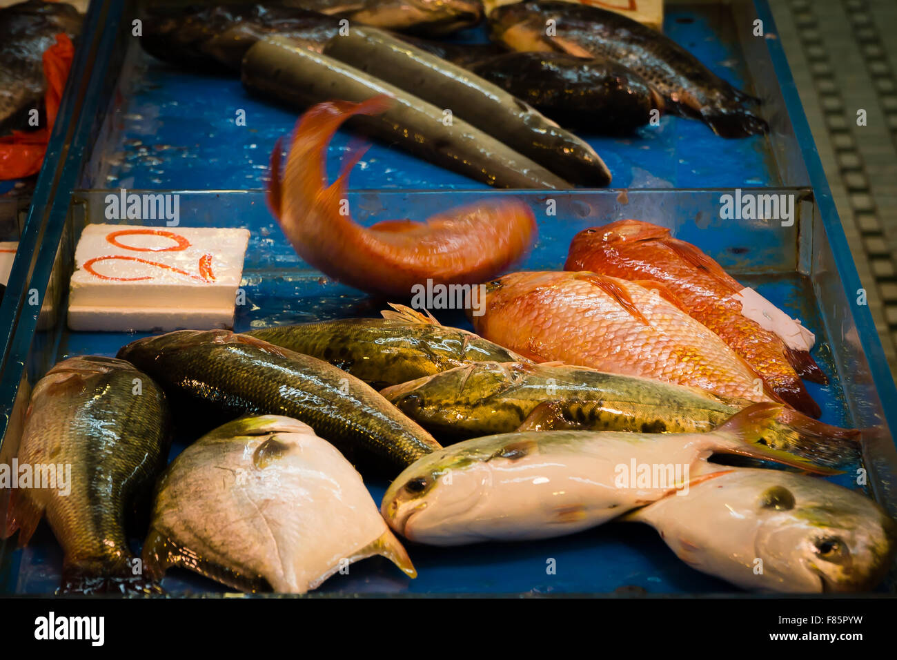 A wriggling fish for sale Stock Photo - Alamy