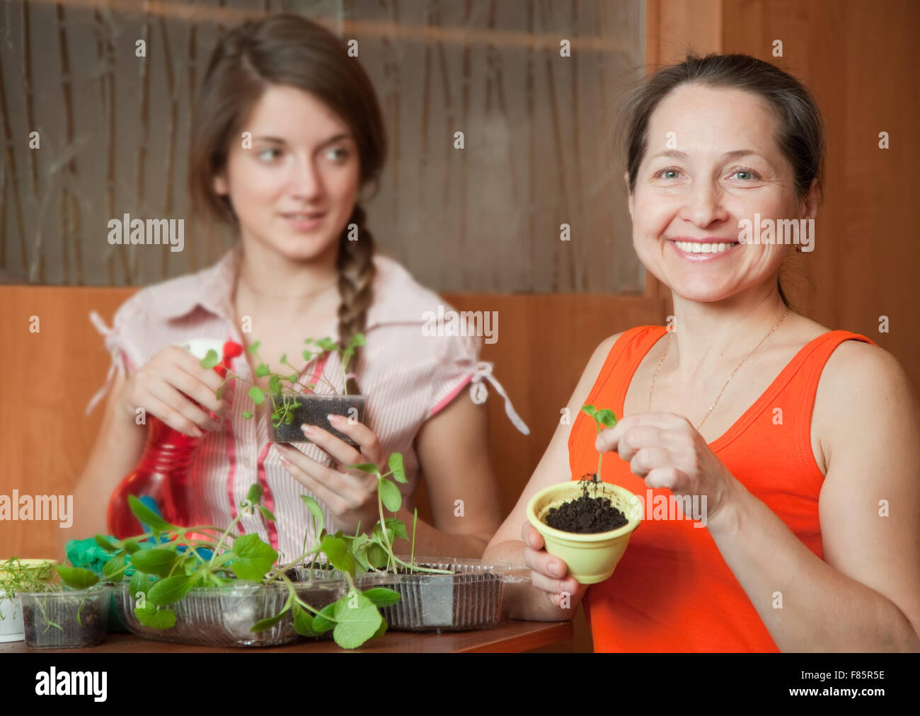 Two women with various sprouts at home Stock Photo - Alamy