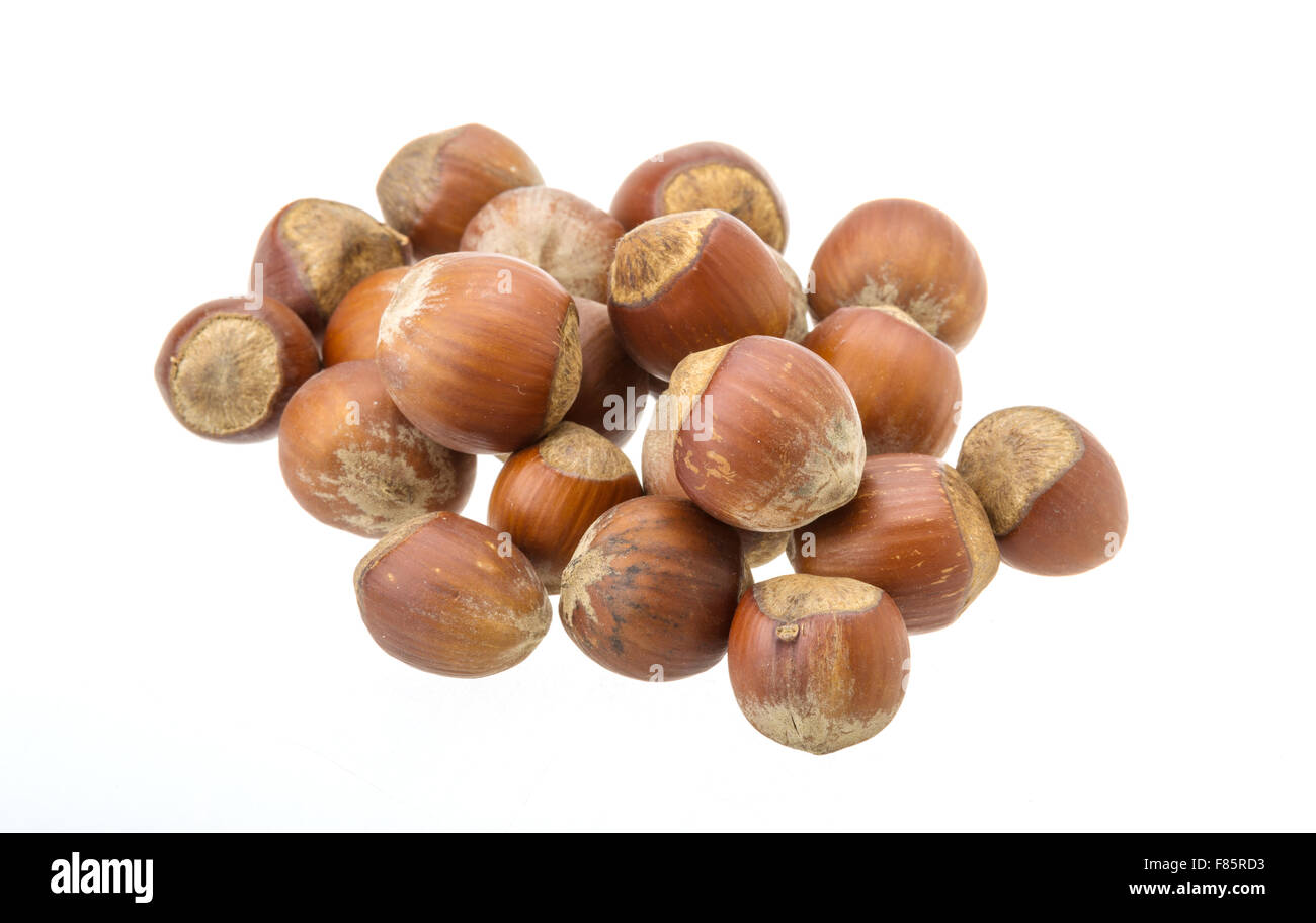 Hazelnut heap isolated on white background Stock Photo - Alamy