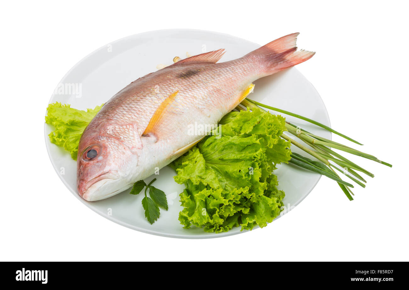Raw red snapper with salad leaves Stock Photo - Alamy