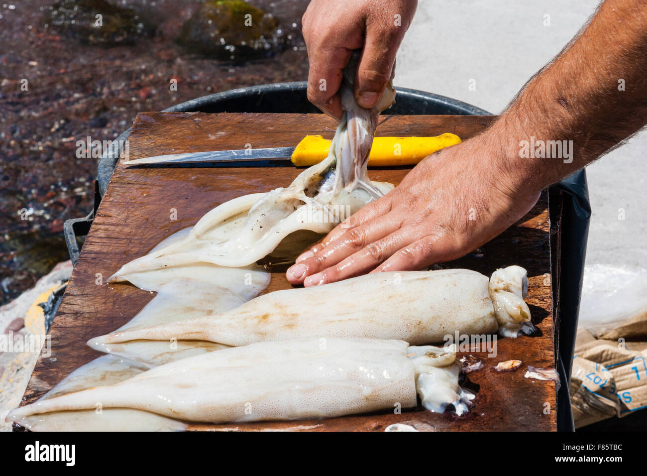 Santorini. Close up of man's hands holding squid and pulling out its ...