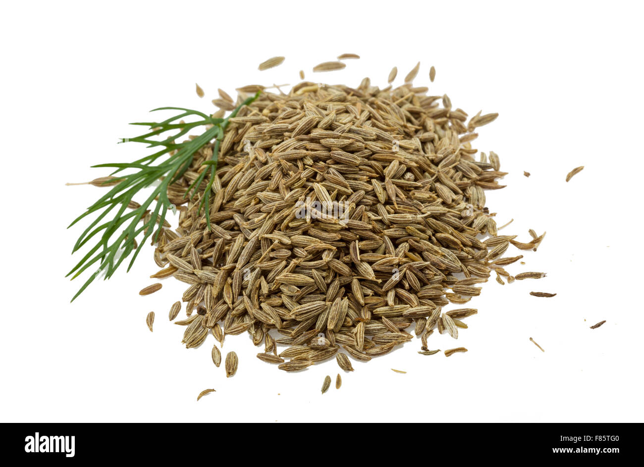 Zira seeds isolated on white background Stock Photo - Alamy