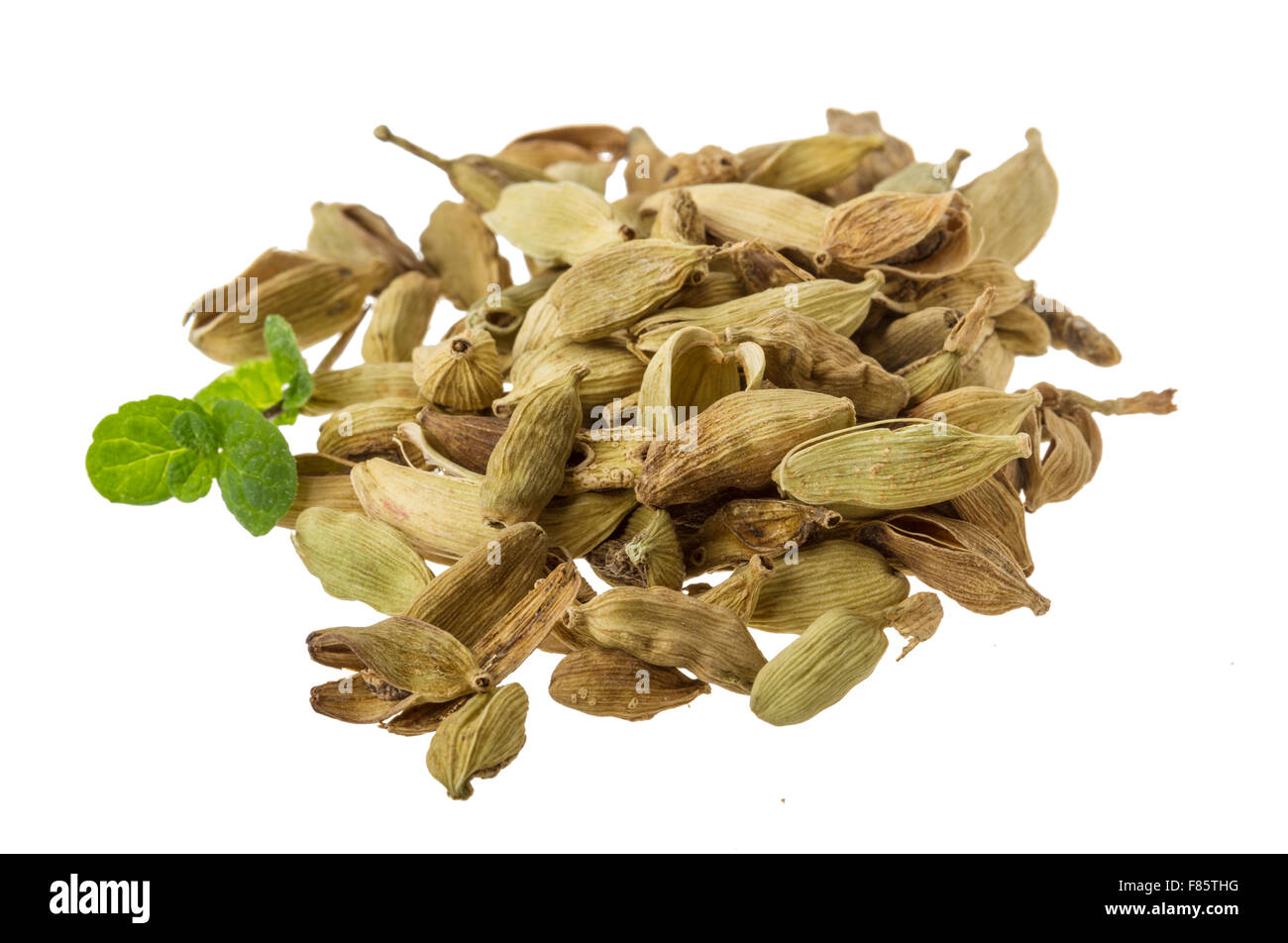 Cardamon with mint leaves isolated Stock Photo - Alamy