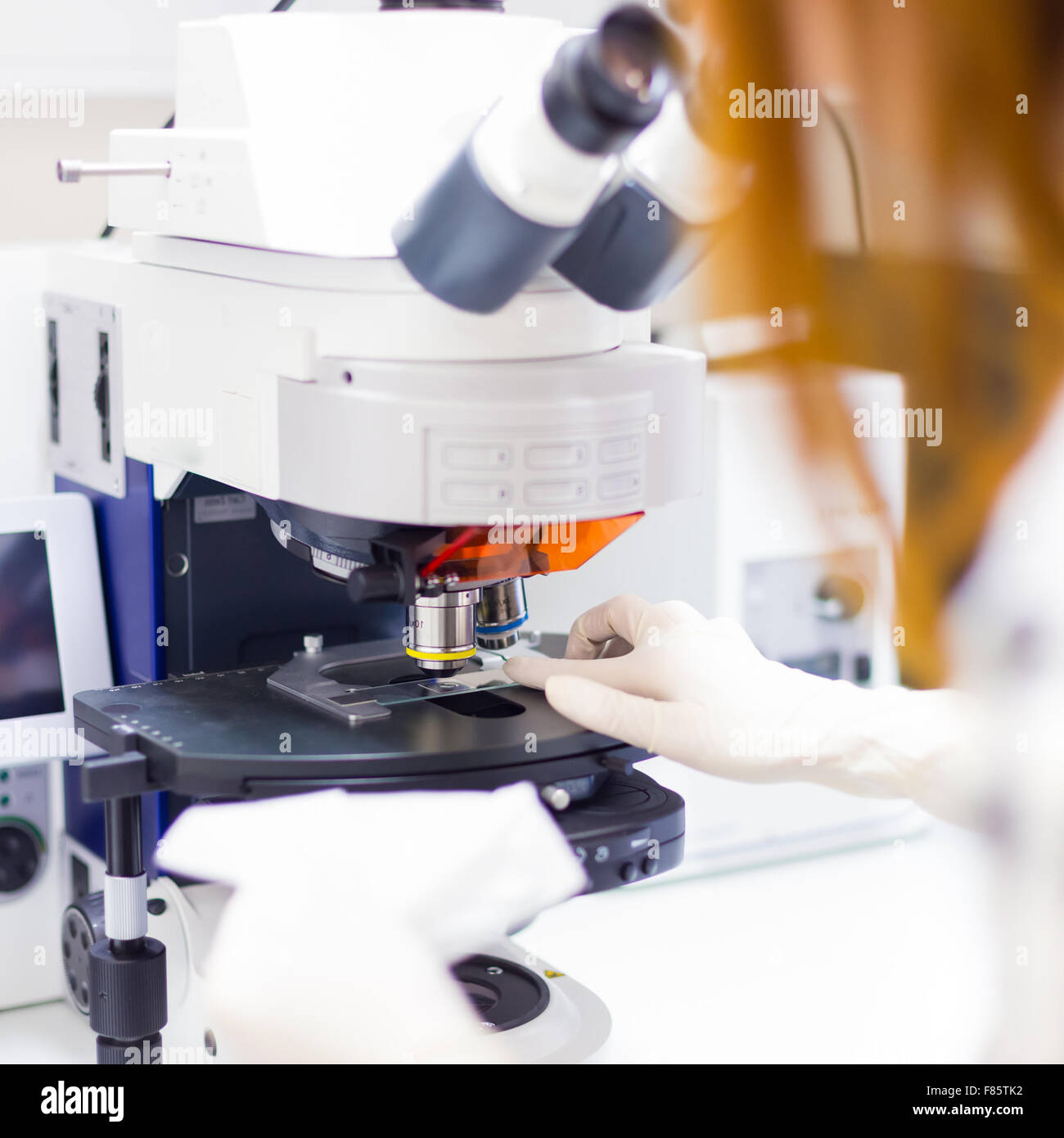 Helth care professional microscoping Stock Photo - Alamy