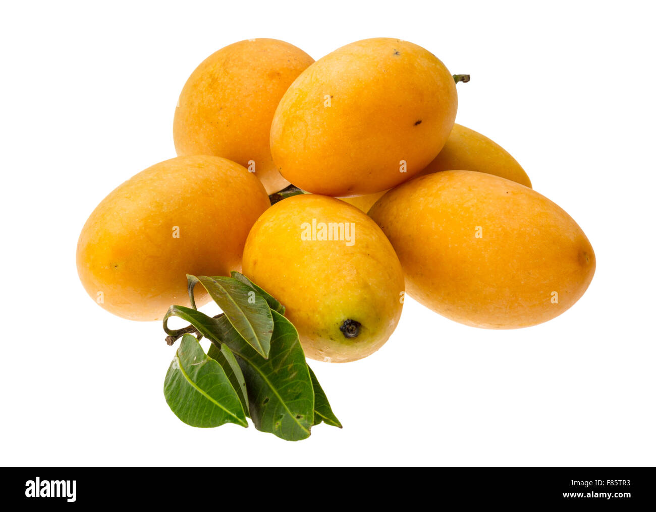 Bouea macrophylla heap isolated on white Stock Photo - Alamy