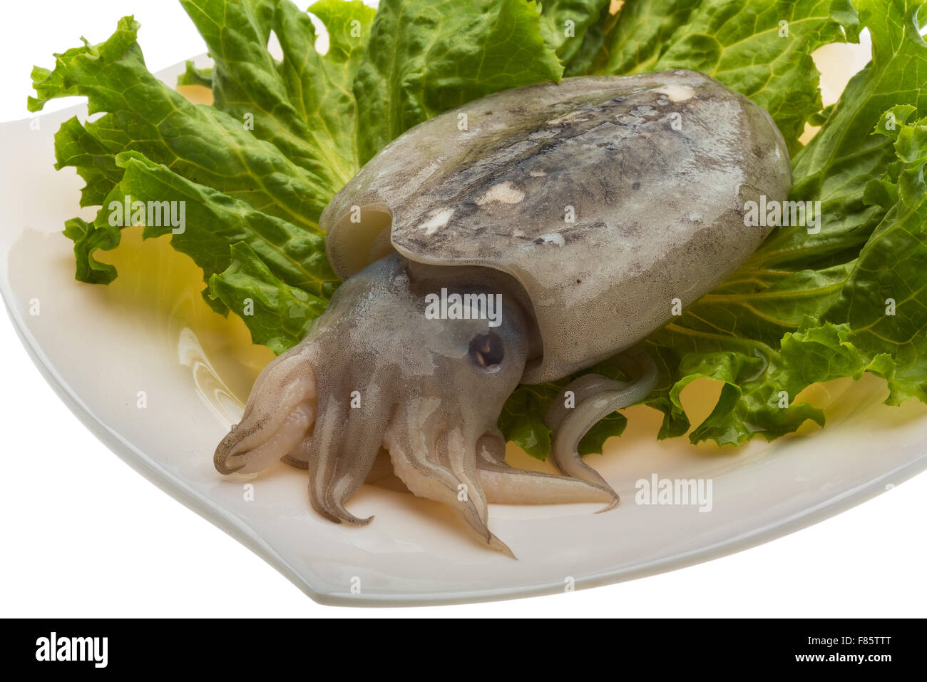 Raw cuttlefish ready for cooking Stock Photo - Alamy