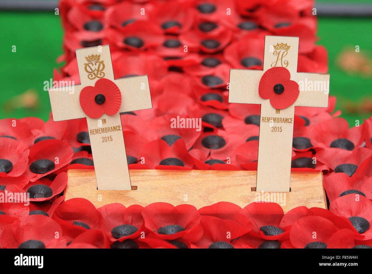 Poppies planted by Prince Harry and Prince Philip, Duke of Edinburgh at ...