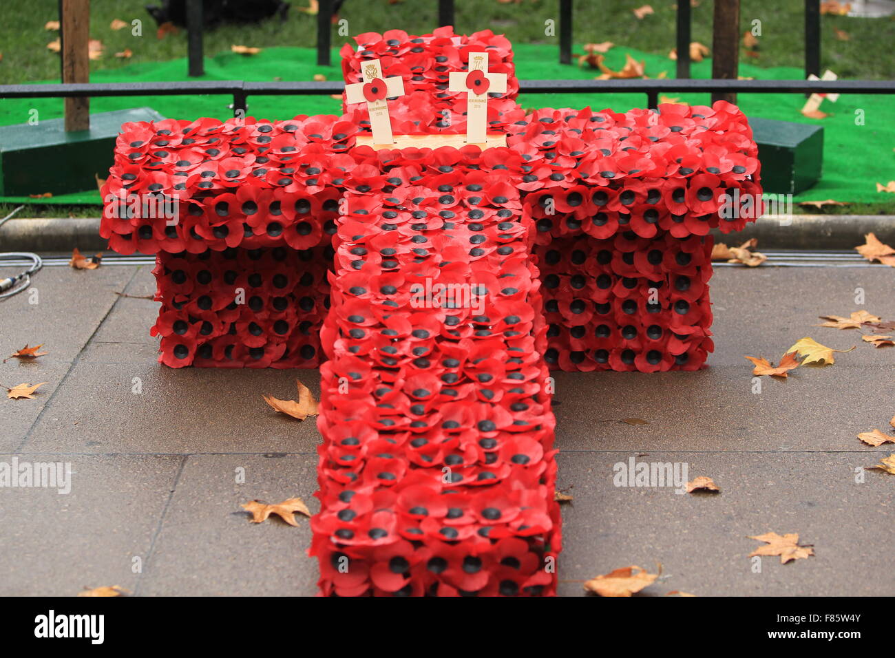 Poppies planted by Prince Harry and Prince Philip, Duke of Edinburgh at ...