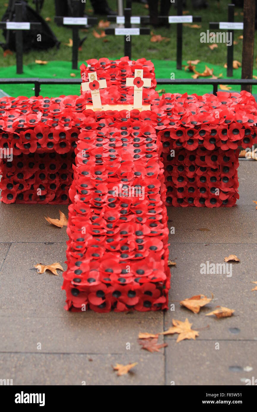 Poppies planted by Prince Harry and Prince Philip, Duke of Edinburgh at ...