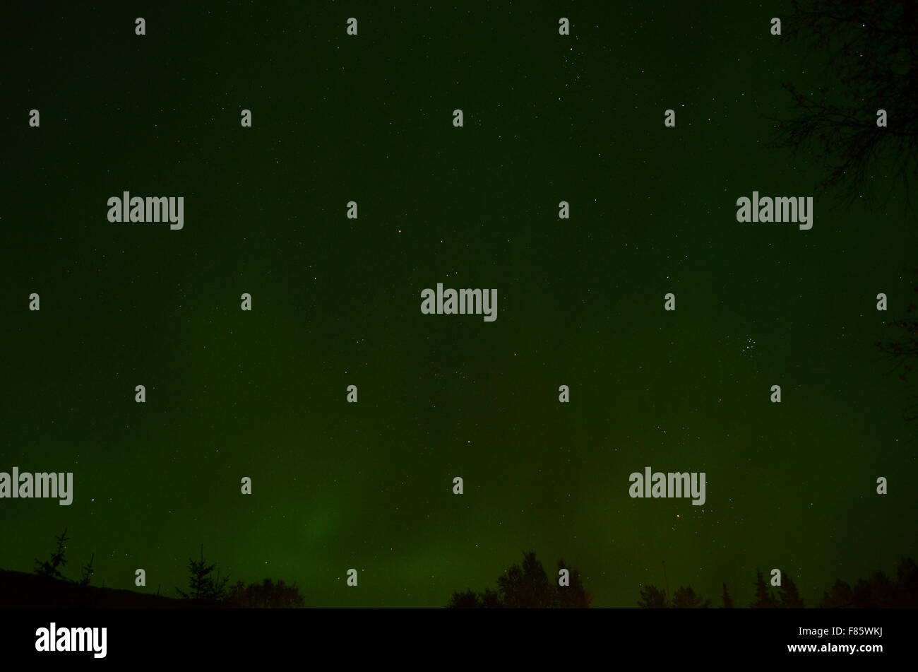 majestic aurora borealis on autumn star filled night sky Stock Photo ...