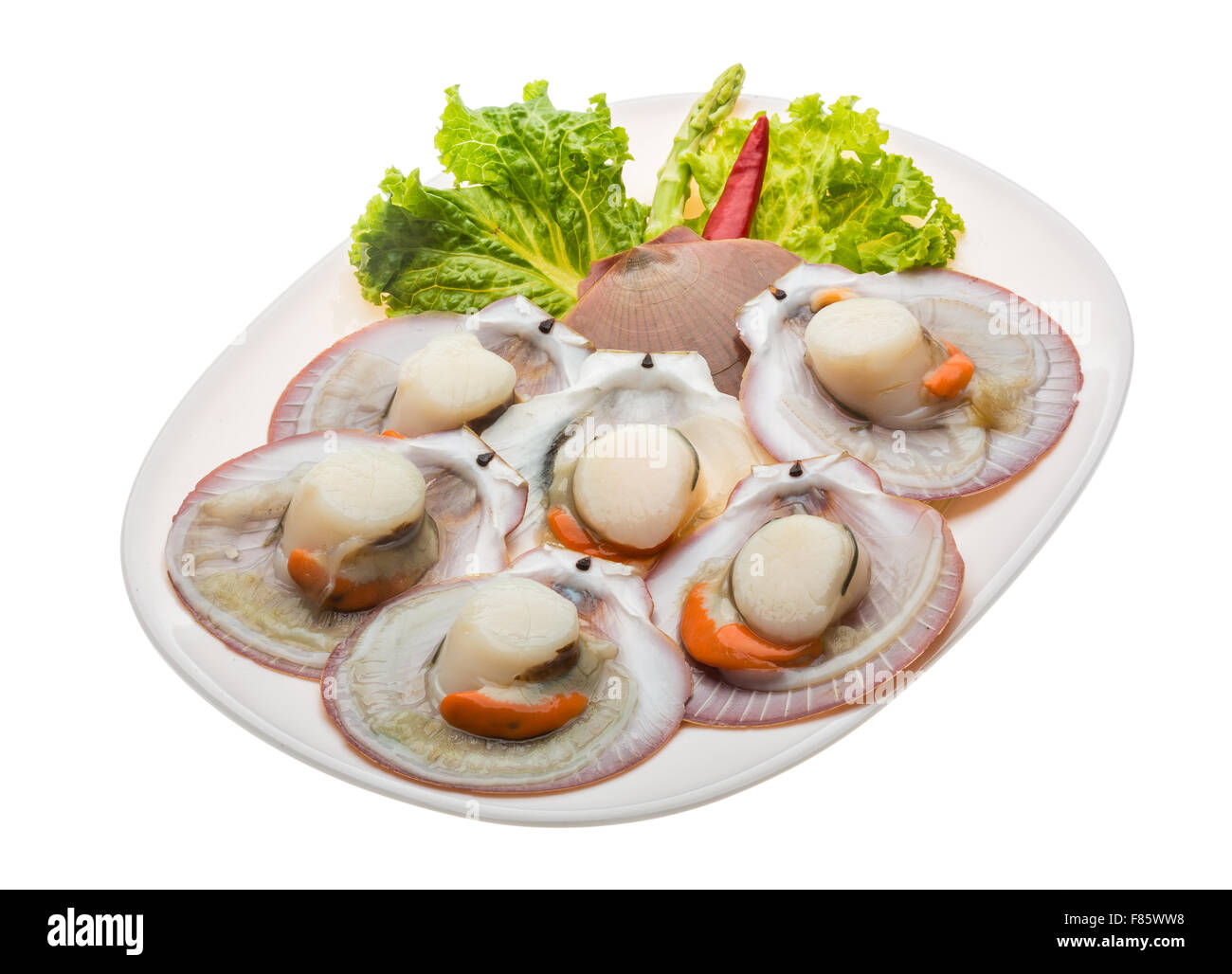 Raw fresh scallop ready for cooking Stock Photo - Alamy