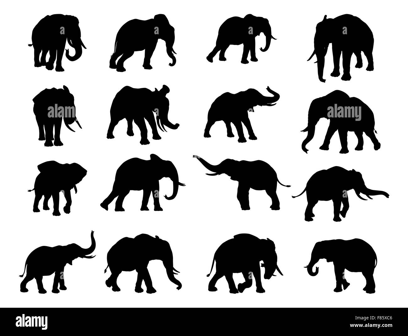 A set of elephants in silhouette in many poses Stock Photo - Alamy