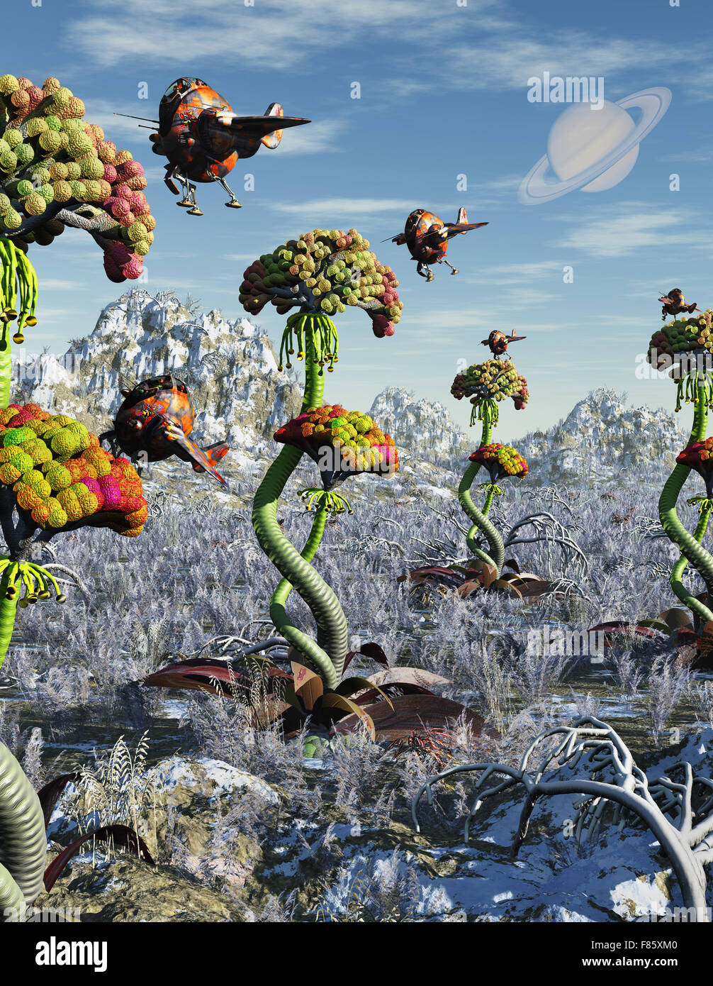 Alien Plants Stock Photos & Alien Plants Stock Images - Alamy
