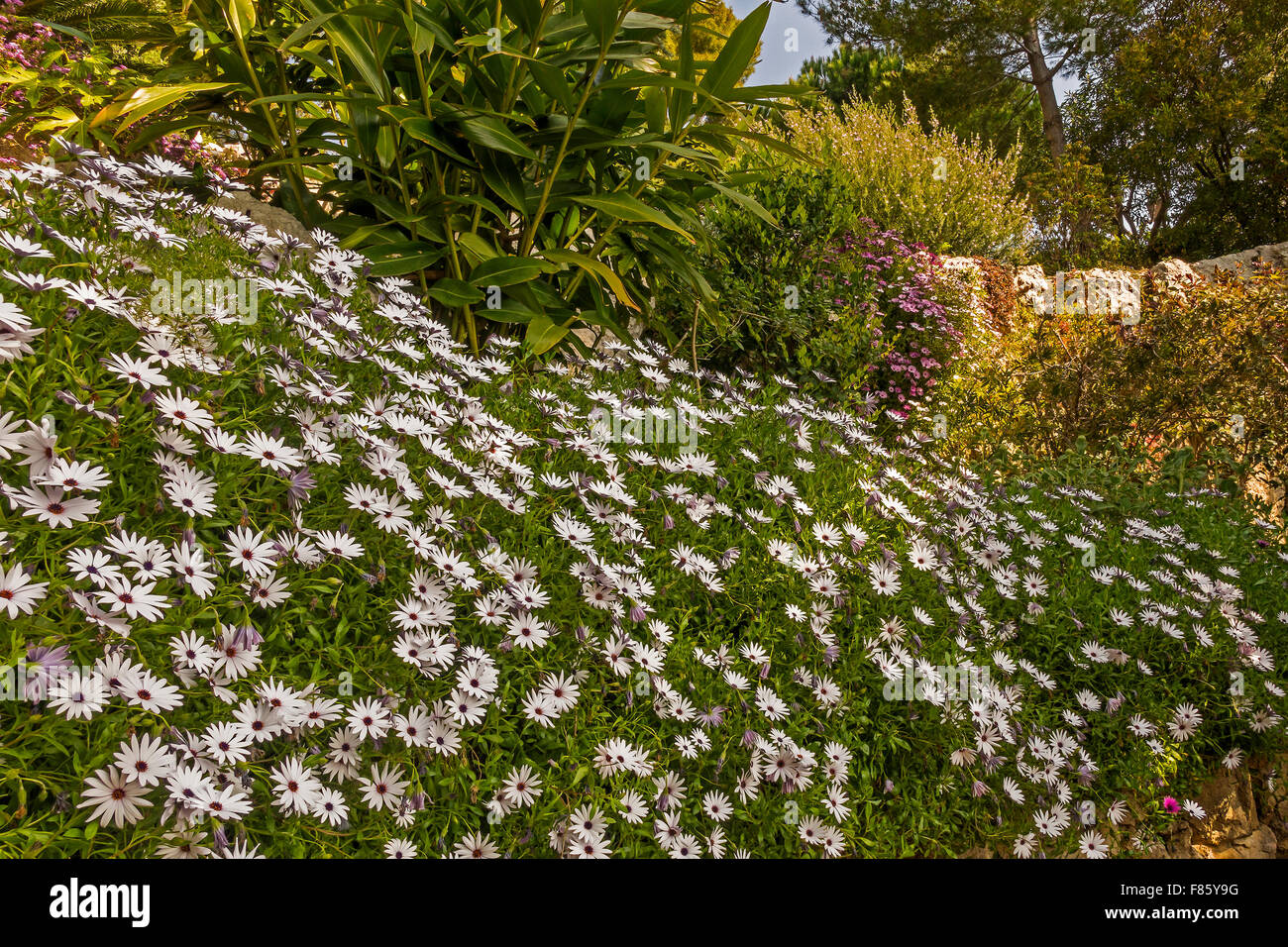 Colourful Spring Gardens Monte Carlo Monaco Stock Photo - Alamy