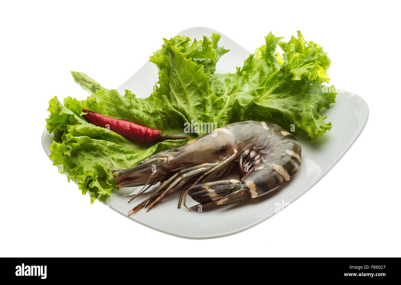 Raw Tiger prawn ready for cooking Stock Photo - Alamy
