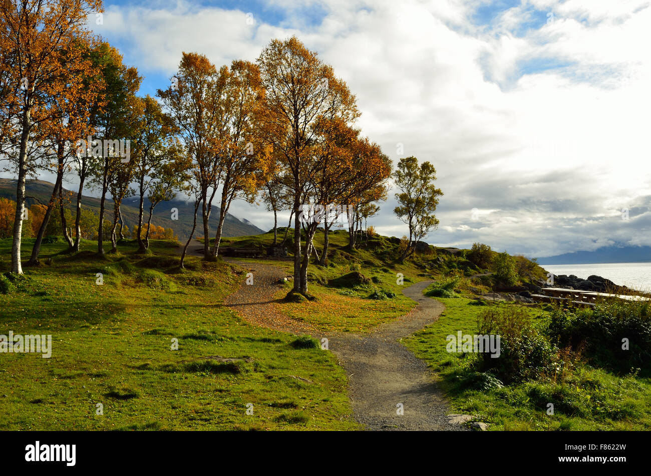 autumn landscape with fjord, tree and sunshine Stock Photo - Alamy