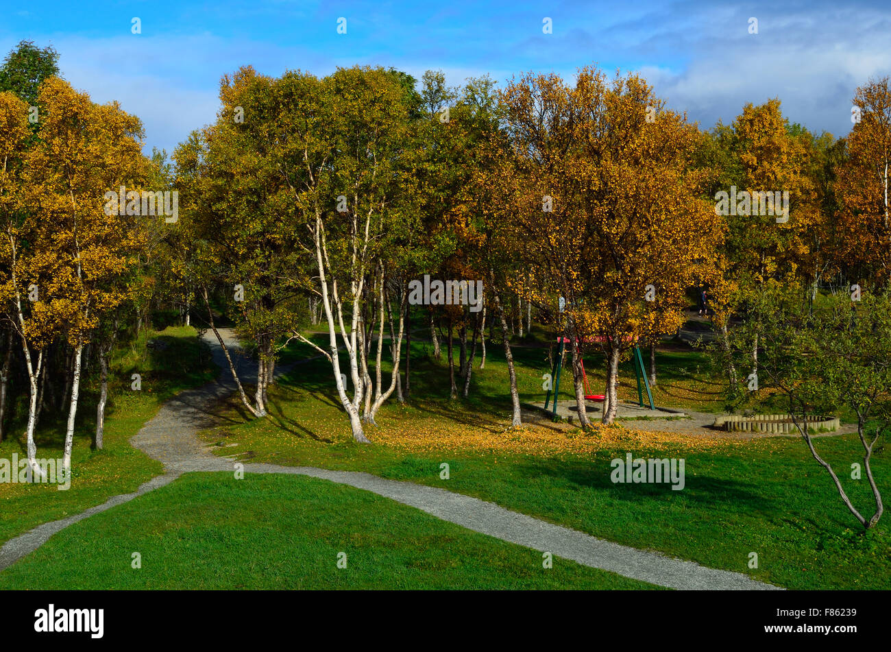 vibrant autumn forest with playground swing set and hiking trails Stock ...