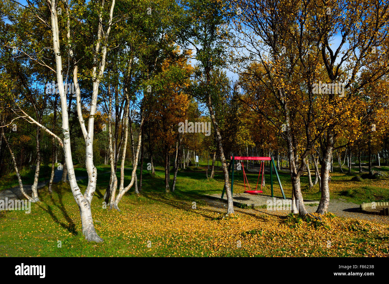 vibrant autumn forest with playground swing set and hiking trails Stock ...