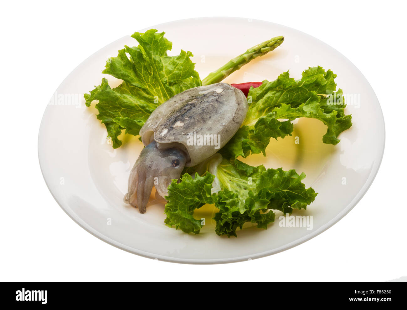 Raw cuttlefish ready for cooking Stock Photo - Alamy