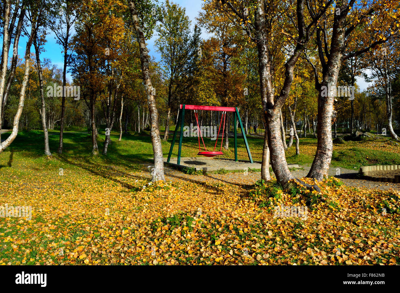 vibrant autumn forest with playground swing set and hiking trails Stock ...