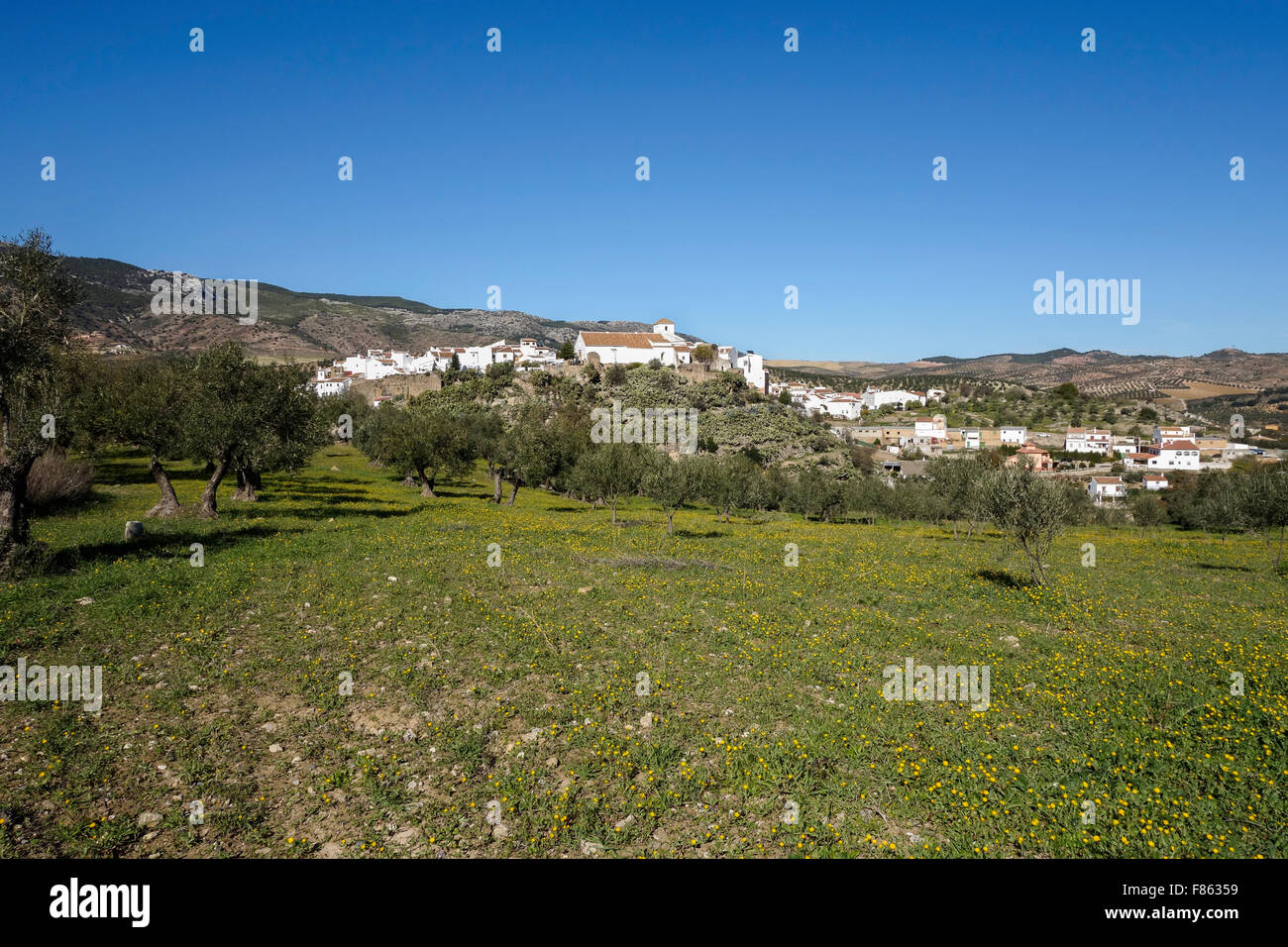 White andalusian village El Burgo in Sierra de las Nieves, olive ...