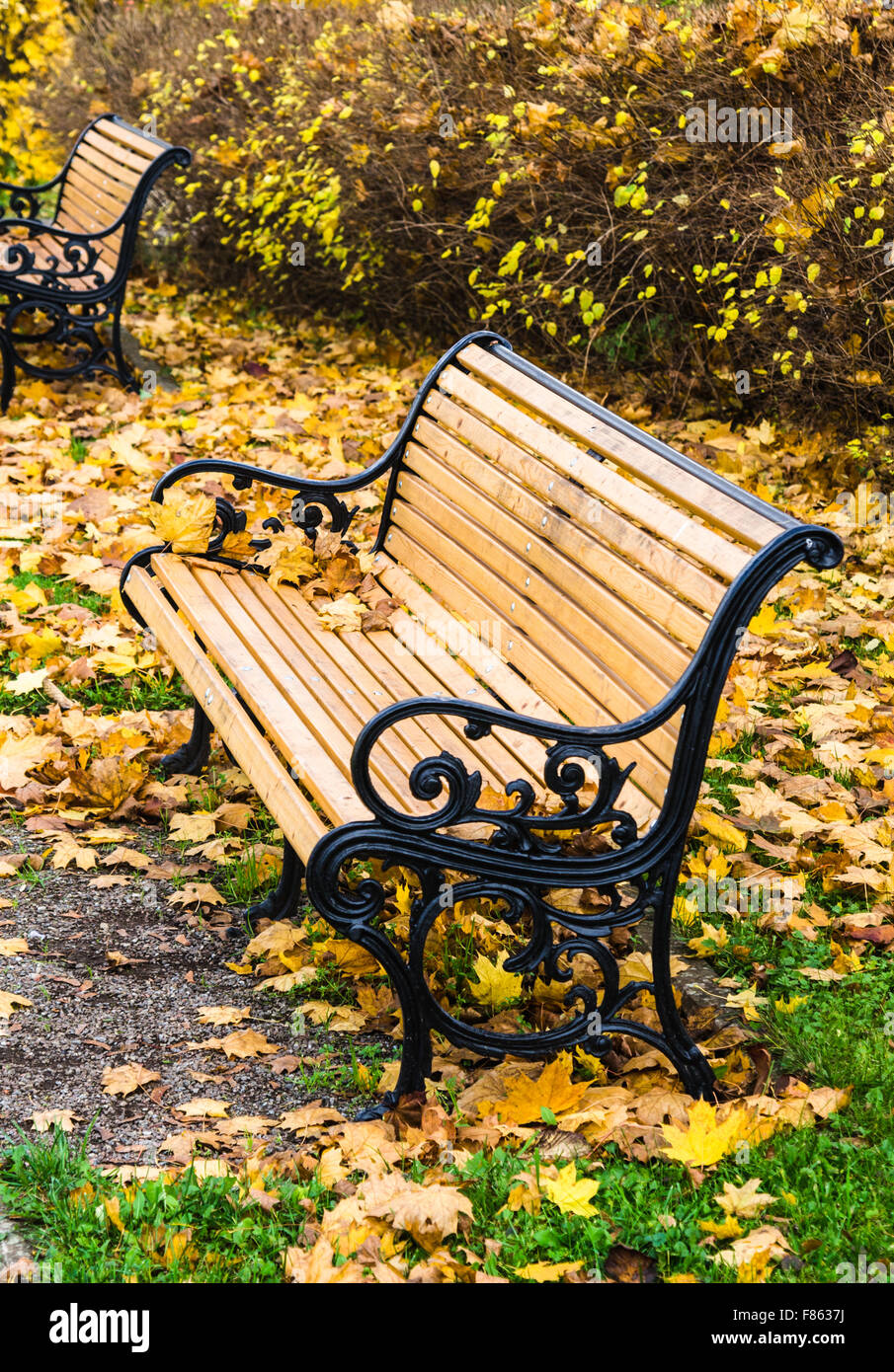 Autumn scene park bench background hi-res stock photography and images ...