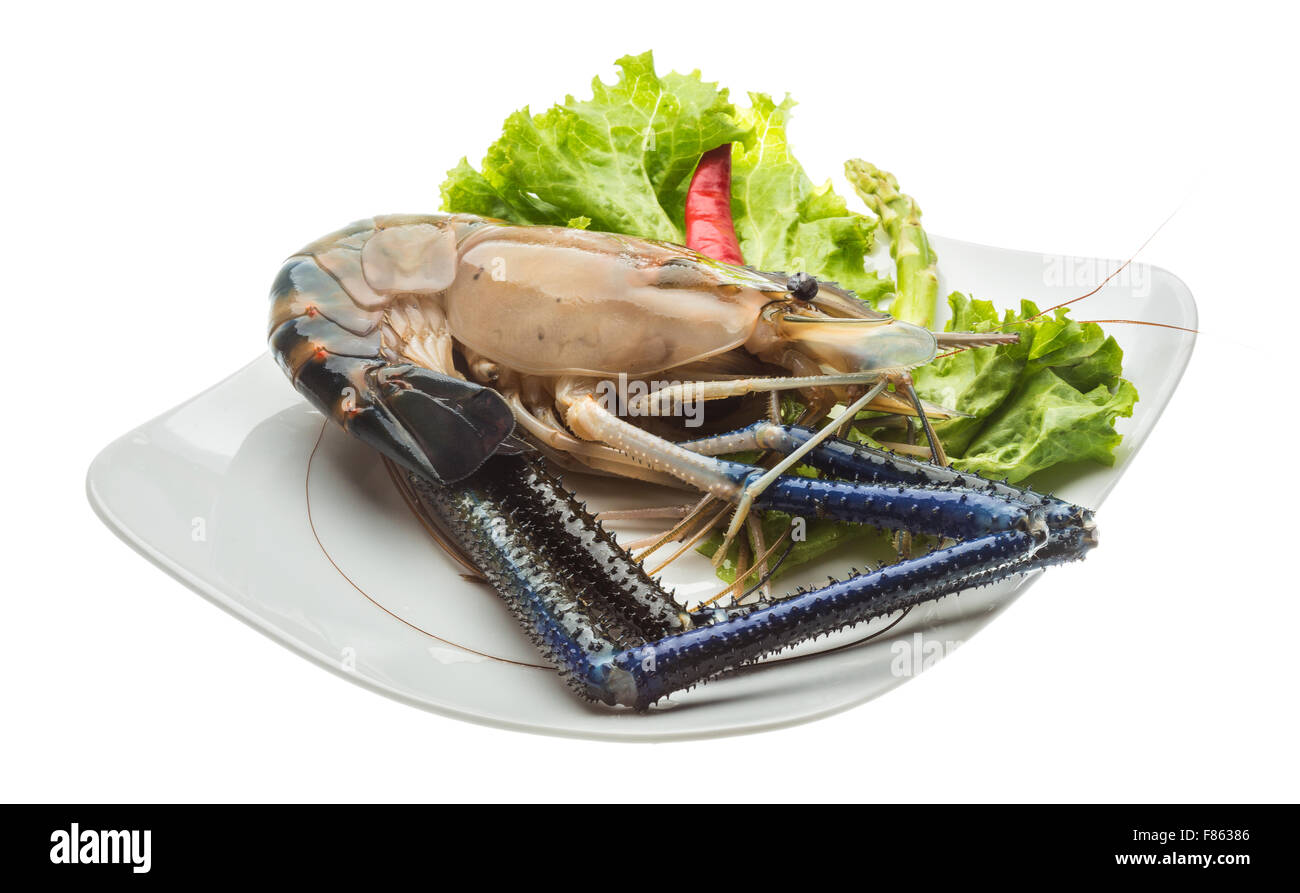 Big Freshwater prawn ready for cooking Stock Photo - Alamy