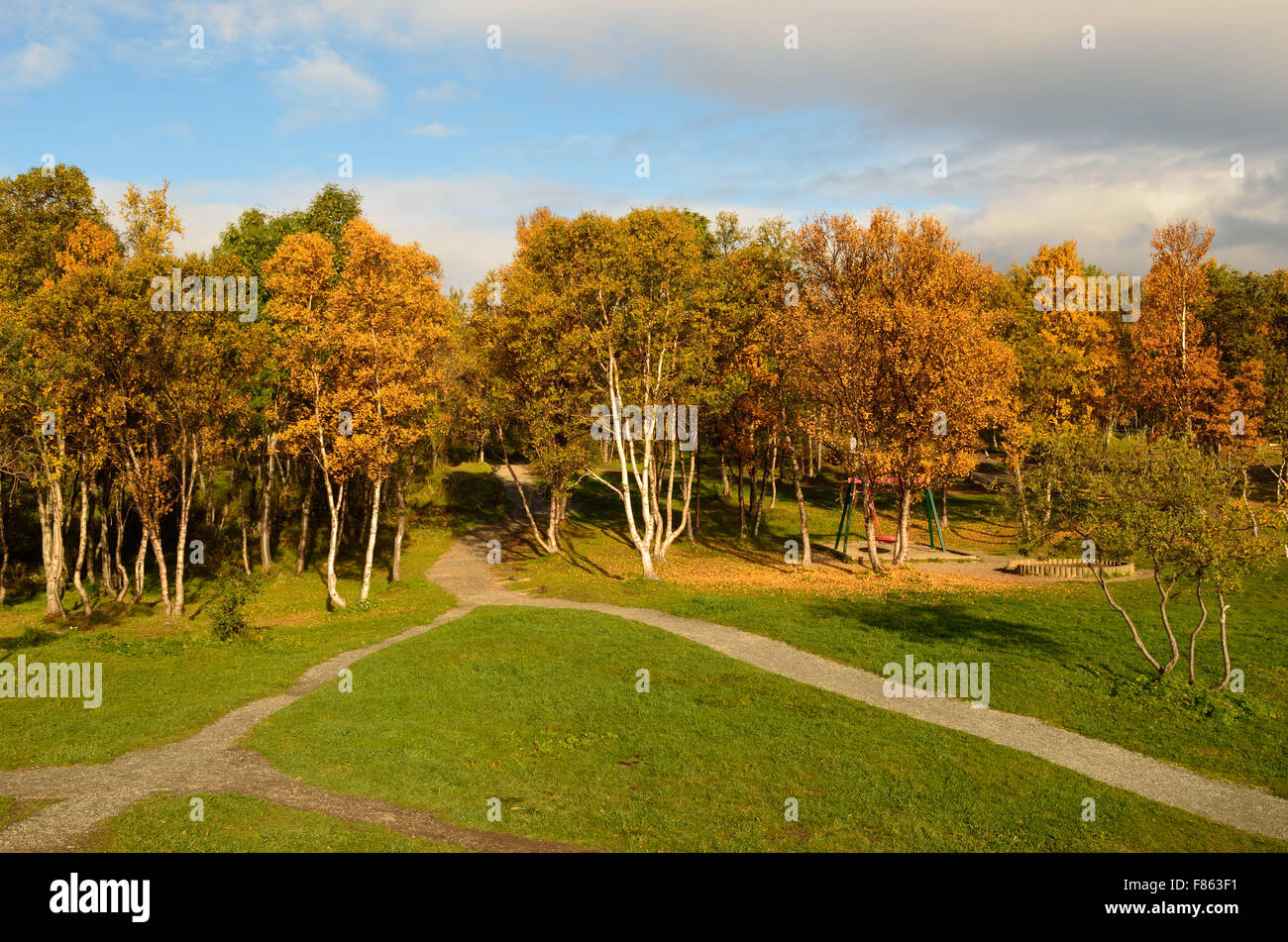 vibrant autumn forest with playground swing set and hiking trails Stock ...