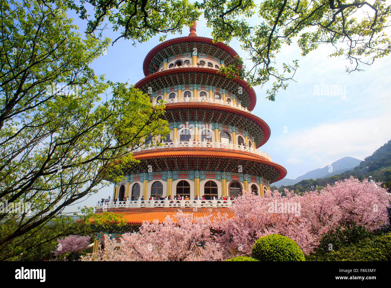 The Beautiful Sakura Garden in Taipei, Taiwan Stock Photo - Alamy