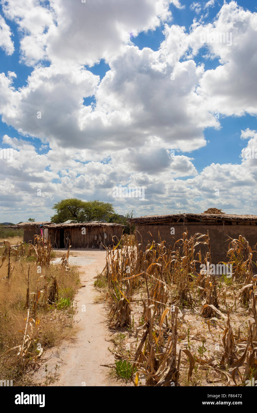 Fields of dry crops in Tanzania Stock Photo - Alamy