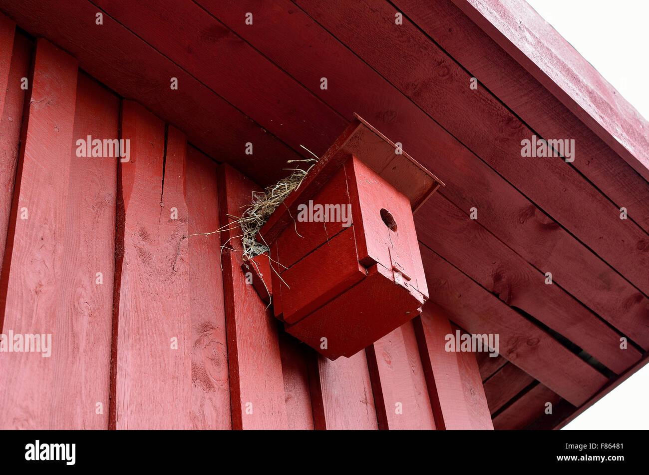 small red bird house with nest on top Stock Photo - Alamy
