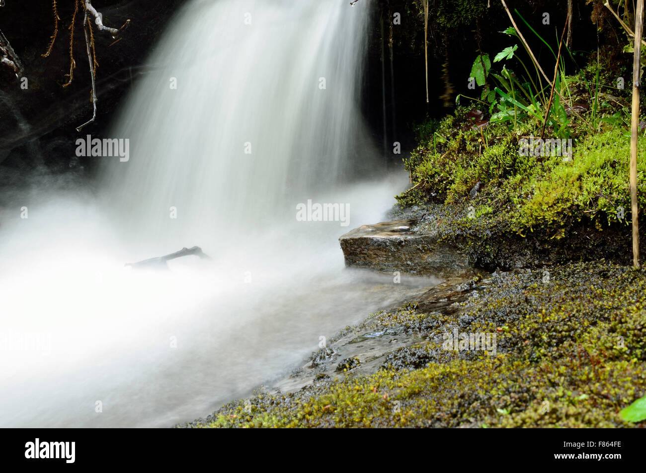 white clean waterfall in mossy green nature Stock Photo - Alamy