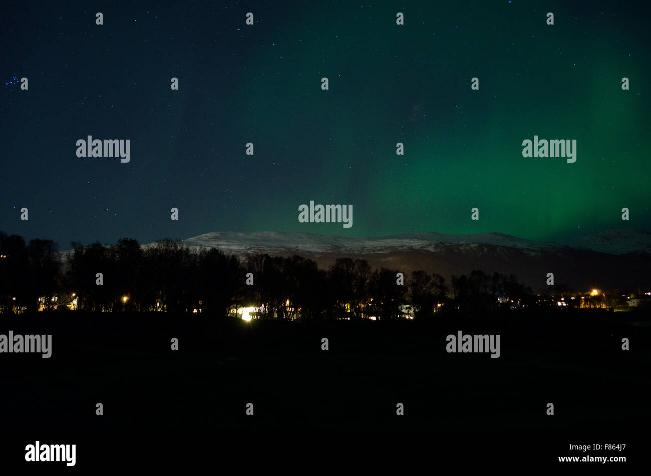 Arctic tree line hi-res stock photography and images - Alamy