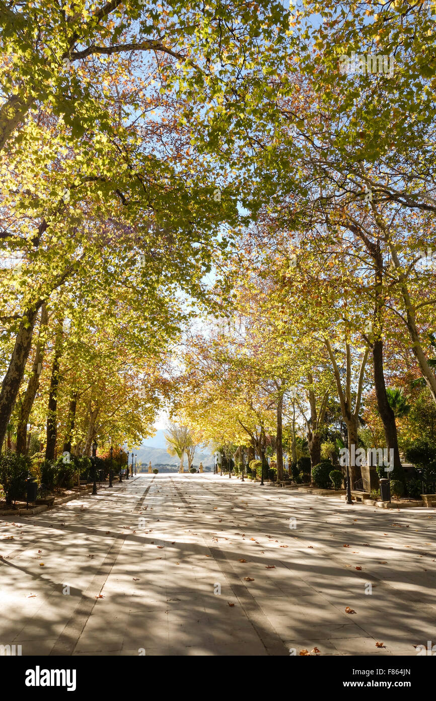 Alameda del Tajo public Park of Ronda, Andalucia, Spain Stock Photo - Alamy