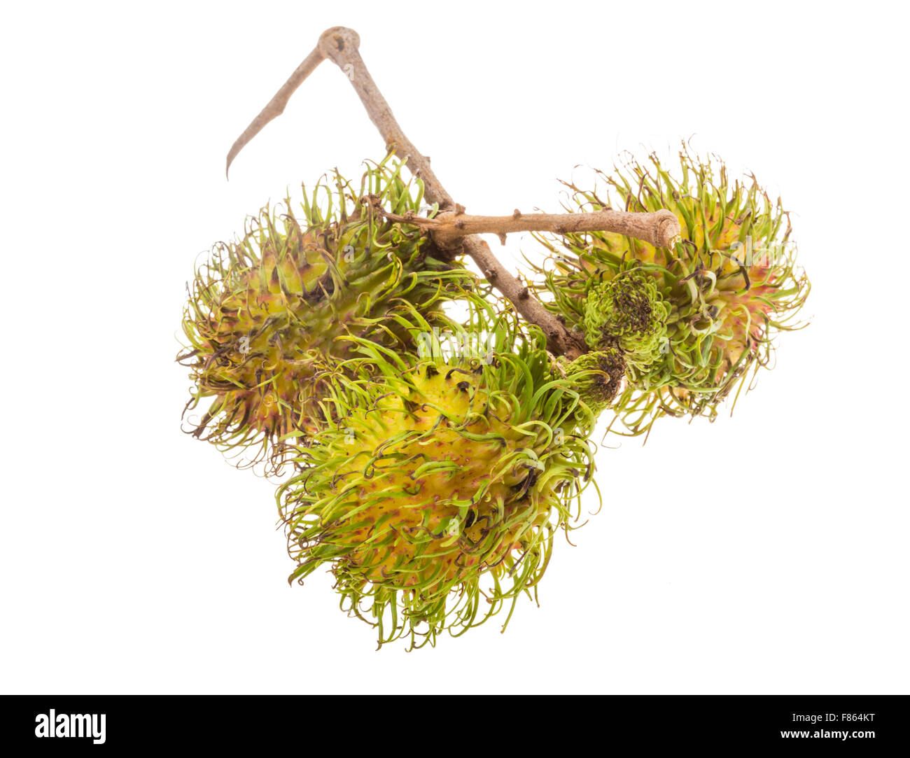 Bright ripe juicy rambutan isolated Stock Photo - Alamy