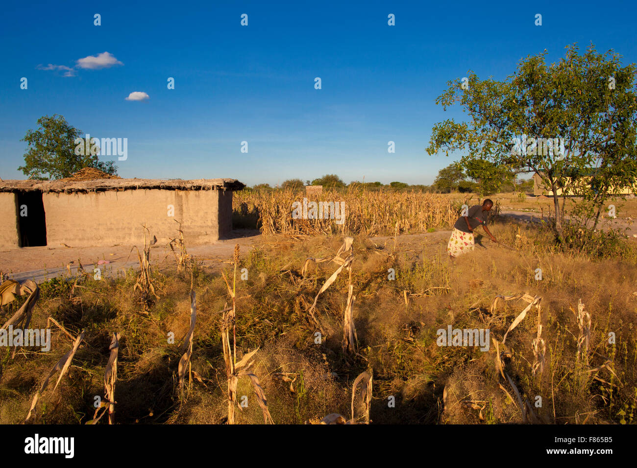 Extreme climate working hi-res stock photography and images - Alamy