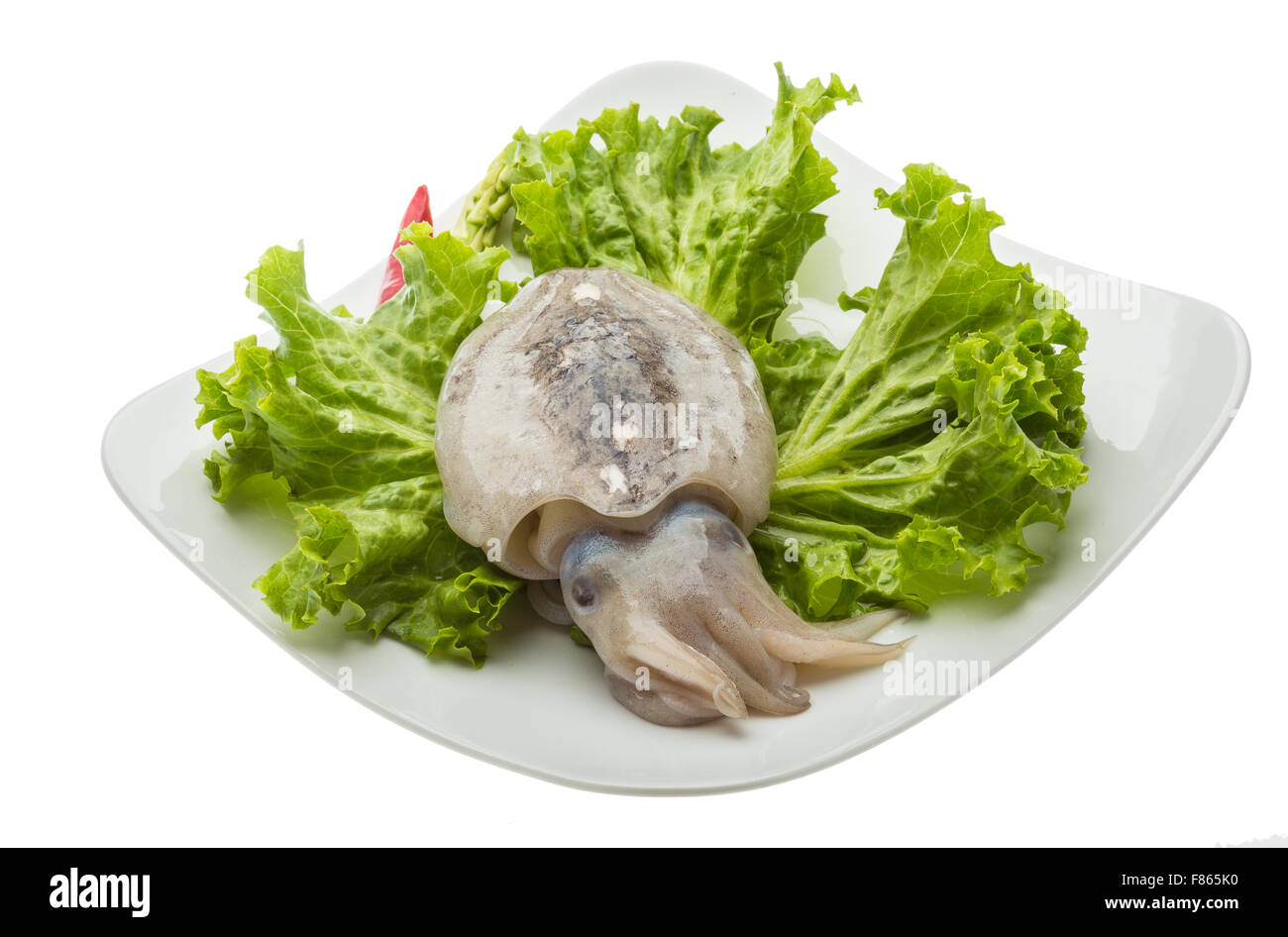 Raw cuttlefish ready for cooking Stock Photo - Alamy