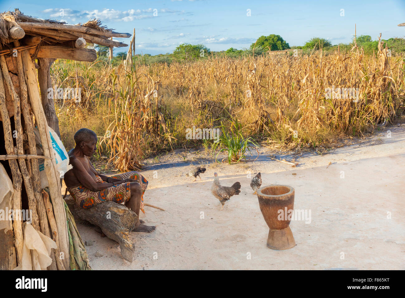 Old blind lady hi-res stock photography and images - Alamy
