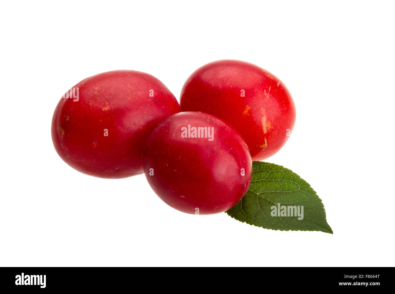 Damson plum isolated on white background Stock Photo - Alamy
