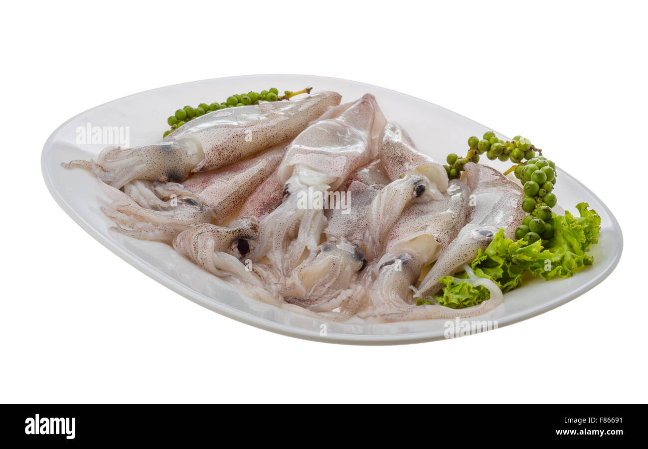 Raw calamari isolated on white background Stock Photo - Alamy