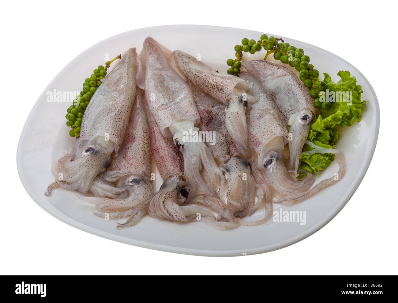 Raw calamari isolated on white background Stock Photo - Alamy