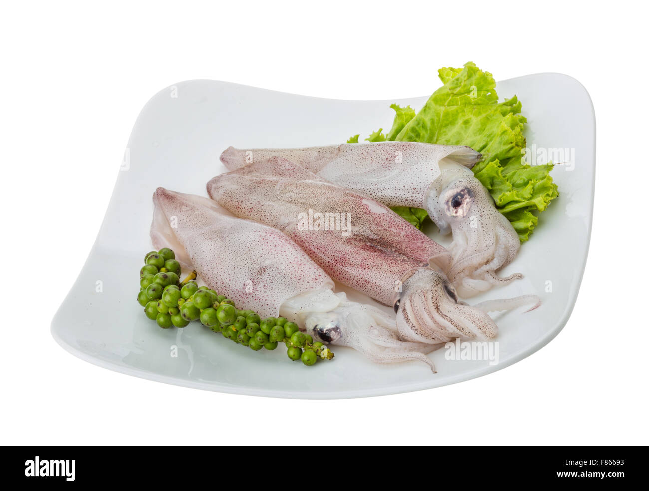 Raw calamari isolated on white background Stock Photo - Alamy