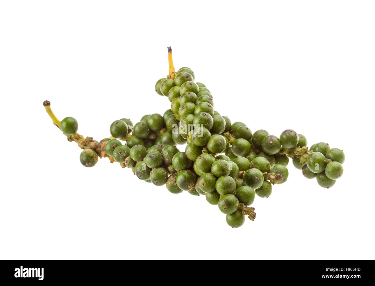 Most expensive campot pepper isolated Stock Photo - Alamy