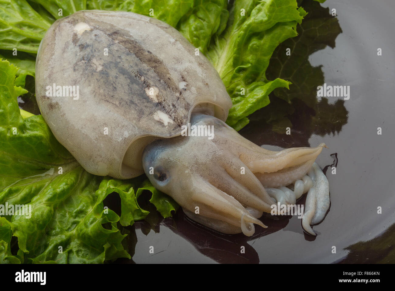 Raw cuttlefish ready for cooking Stock Photo - Alamy