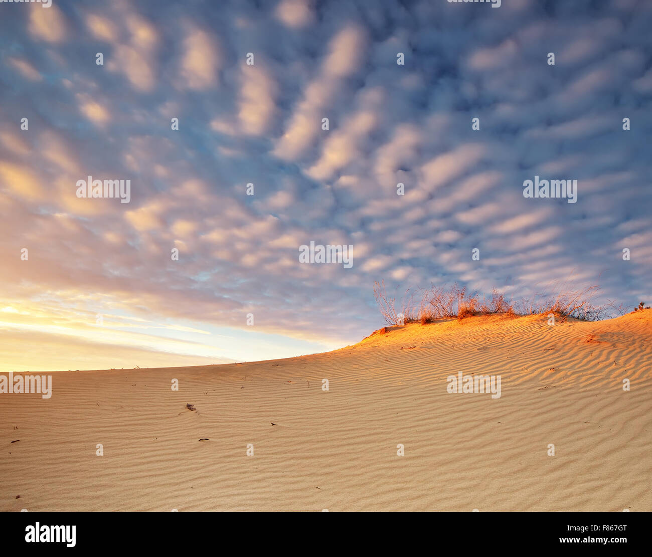 Beautiful desert scene hi-res stock photography and images - Alamy