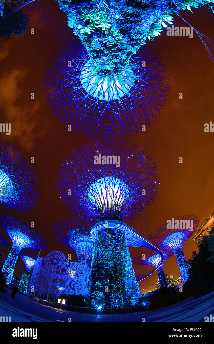 Night scene of the illuminated Supertrees in the Supertrees Grove in the Gardens by the Bay ...